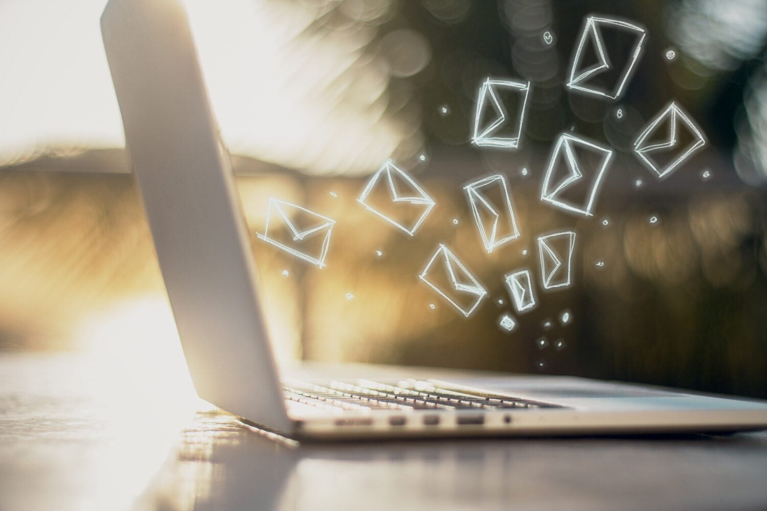 How To Structure An Effective Email Campaign Strategy - Lizard's Lunch